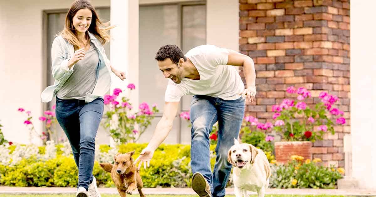 responsabilidades de tener una mascota | BBVA México