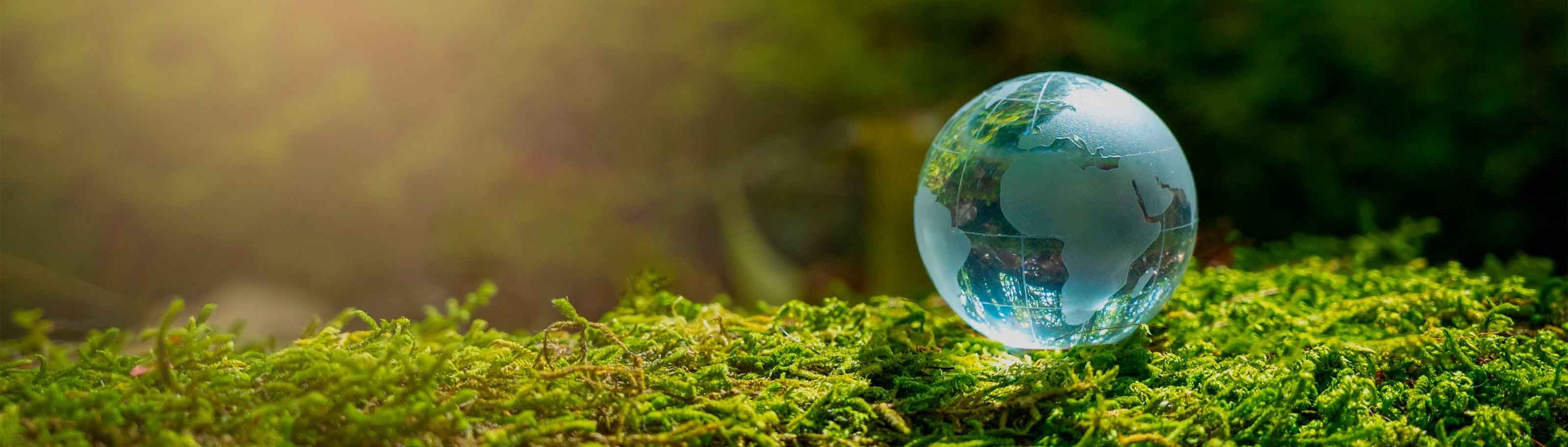 ¿Qué es la huella de carbono y qué tipos hay? | BBVA México