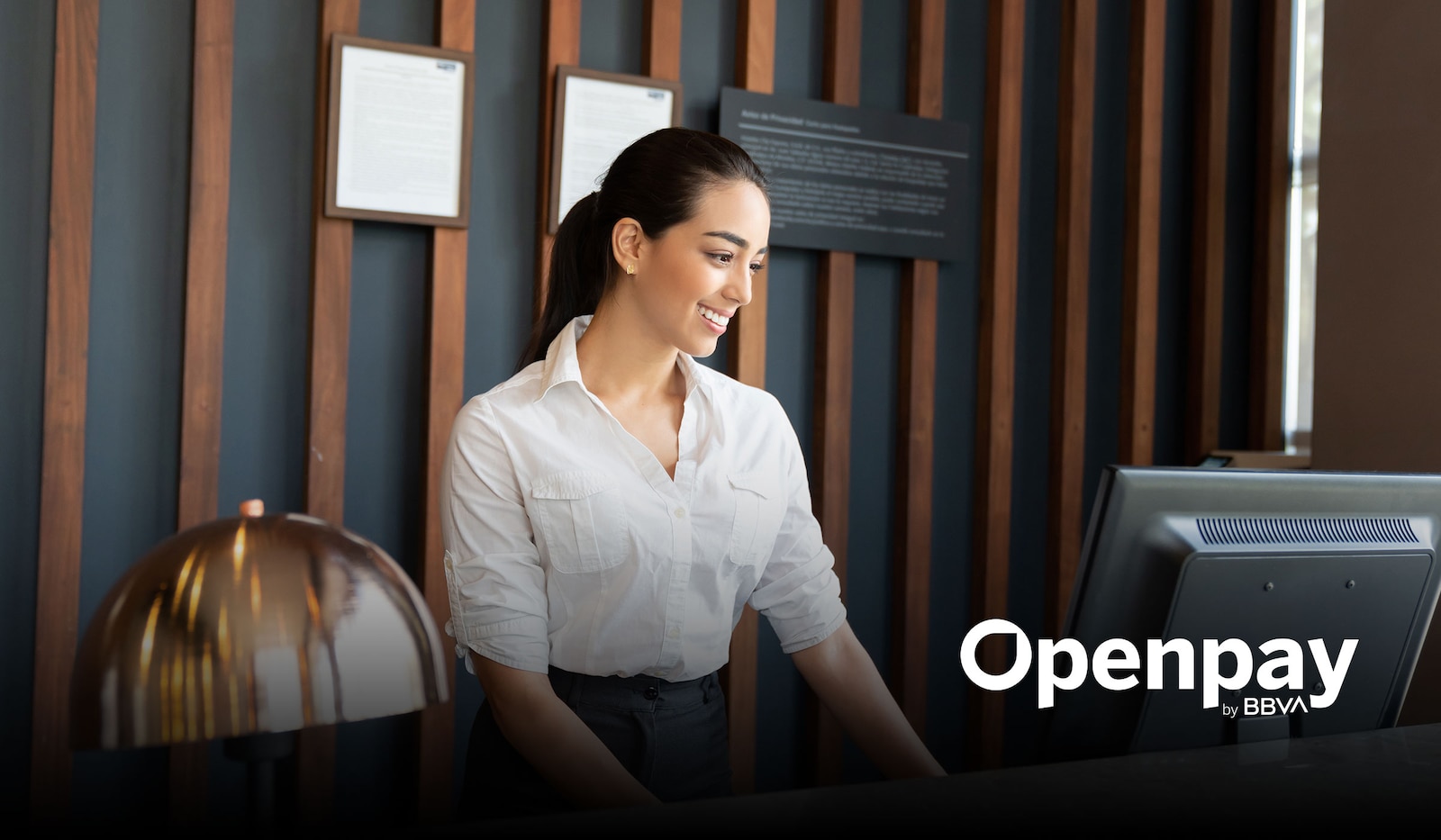 Link de Pago Openpay en tu empresa | Empresas | BBVA México